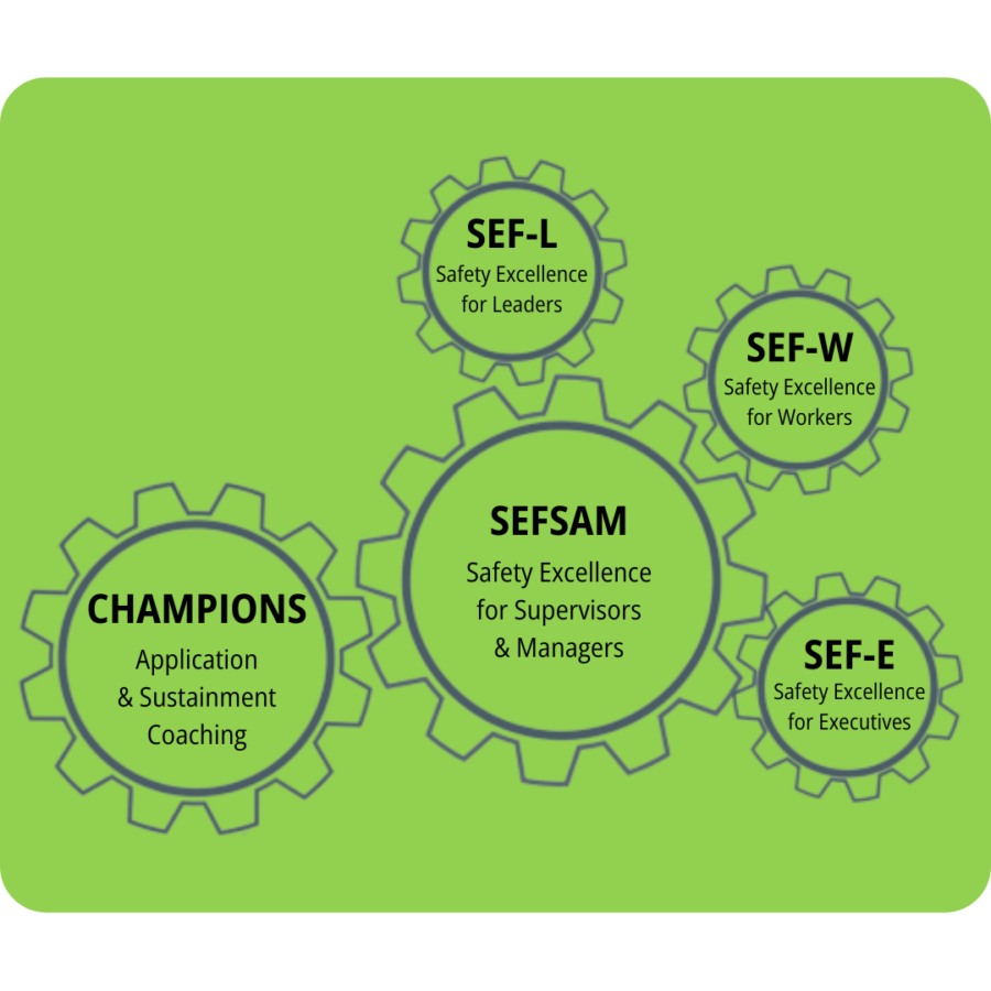 Programs - Global Centre for Leadership and Safety Excellence